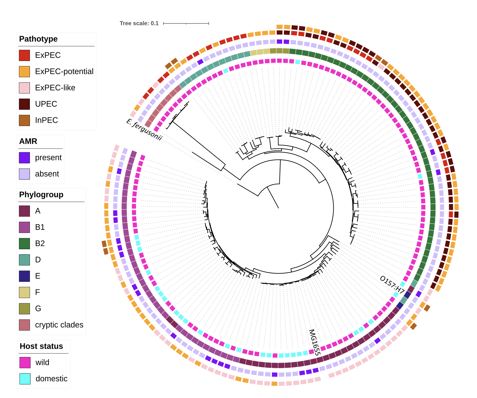 Research - Katherine M. Lagerstrom